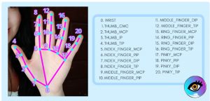 Como usar MEDIAPIPE HANDS ?️ | Python - MediaPipe - OpenCV » omes-va.com