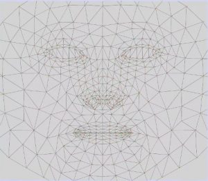 Malla Facial (MediaPipe Face Mesh) ? | Python - MediaPipe - OpenCV ...